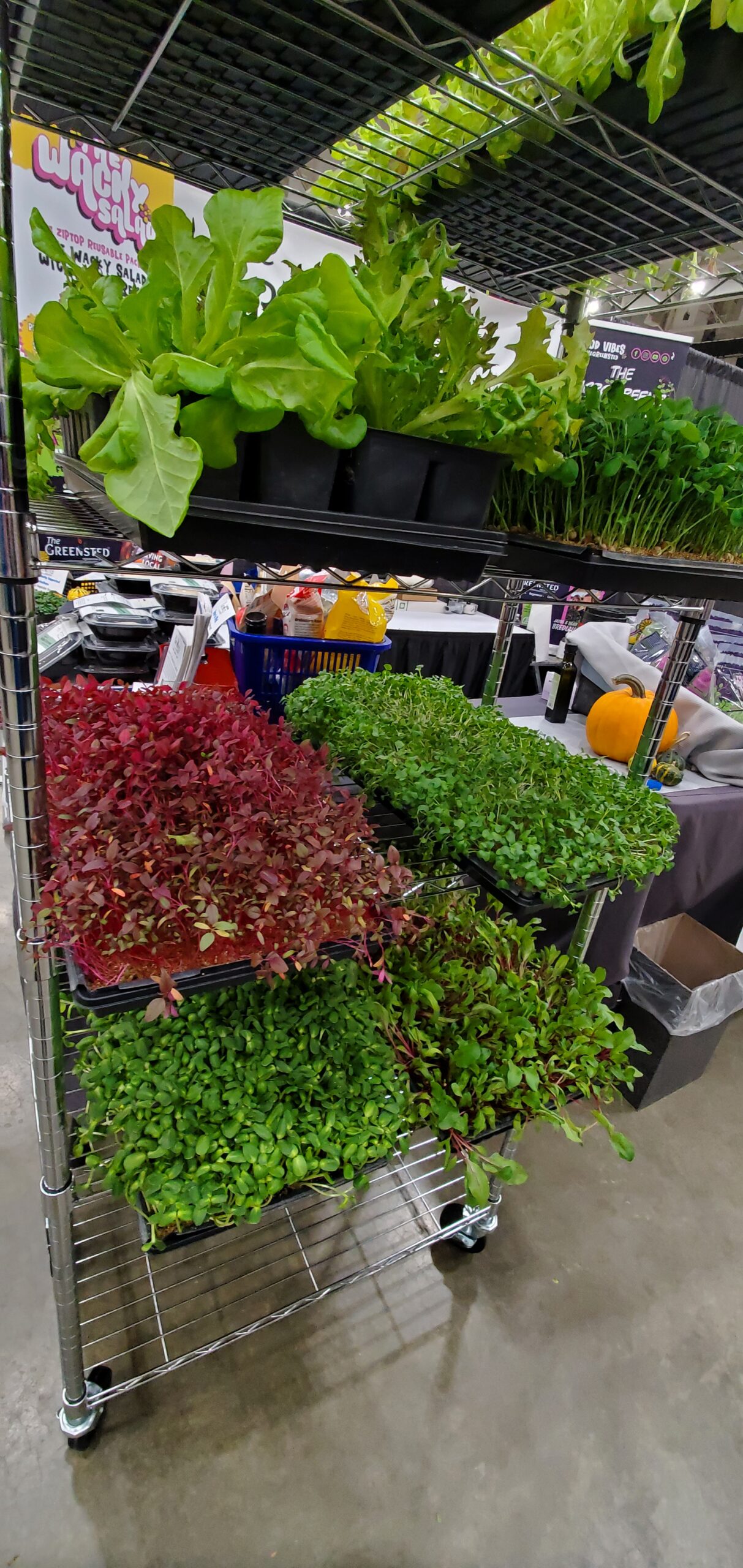 The Greensted - Farm Fresh Microgreens and Local Farm Store